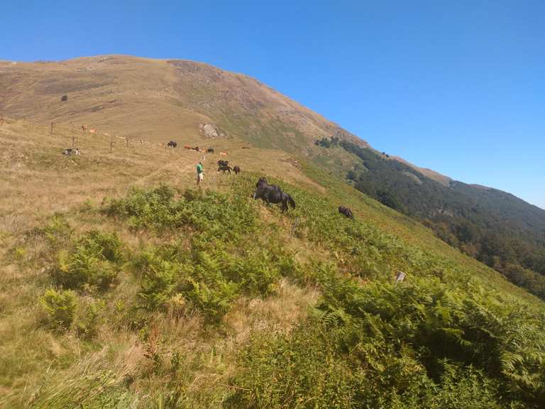 Col de la Core Road Cycle Routes and Map | Komoot