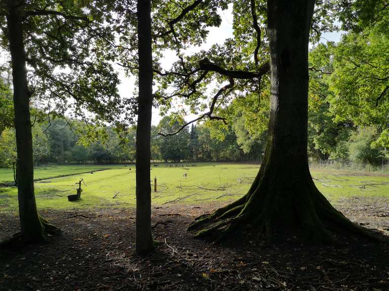 Wildpark Eekholt Routes for Walking and Hiking | Komoot