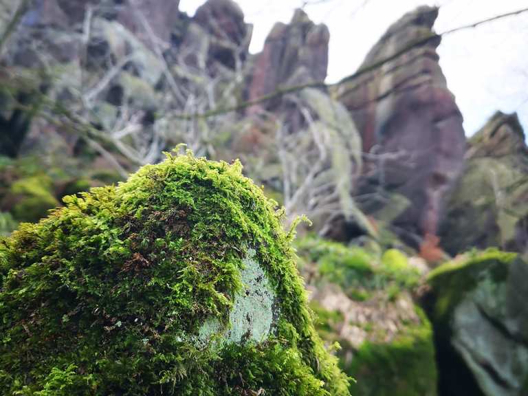 Black Rocks Routes for Walking and Hiking | Komoot