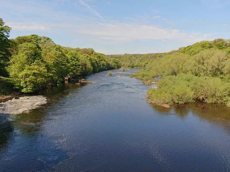 Hagg Bank Bridge (Wylam Bridge) - Cycle Routes and Map | Komoot