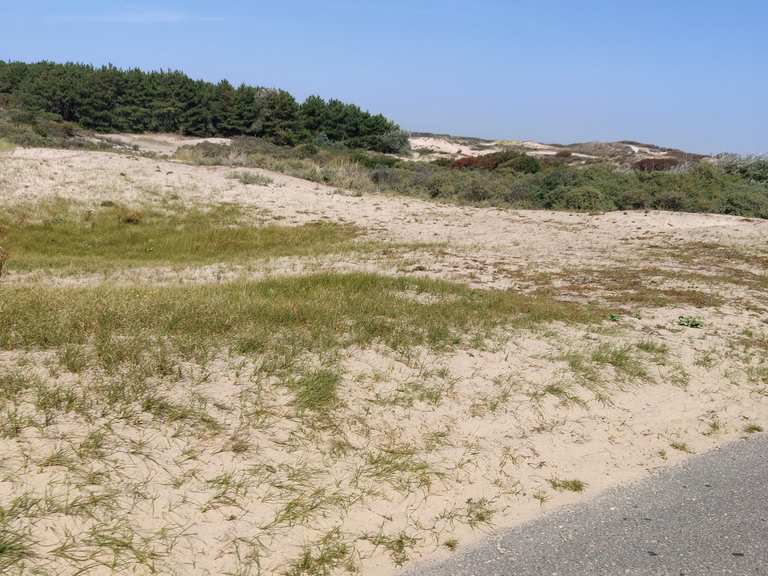 Mooi fietspad door de duinen Cycle Routes and Map | Komoot