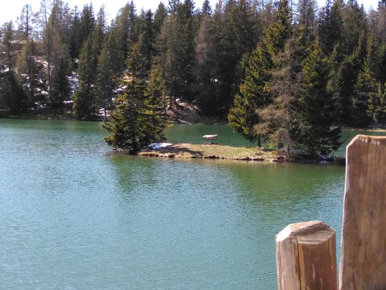 Felixer Weiher: Wanderungen und Rundwege | komoot