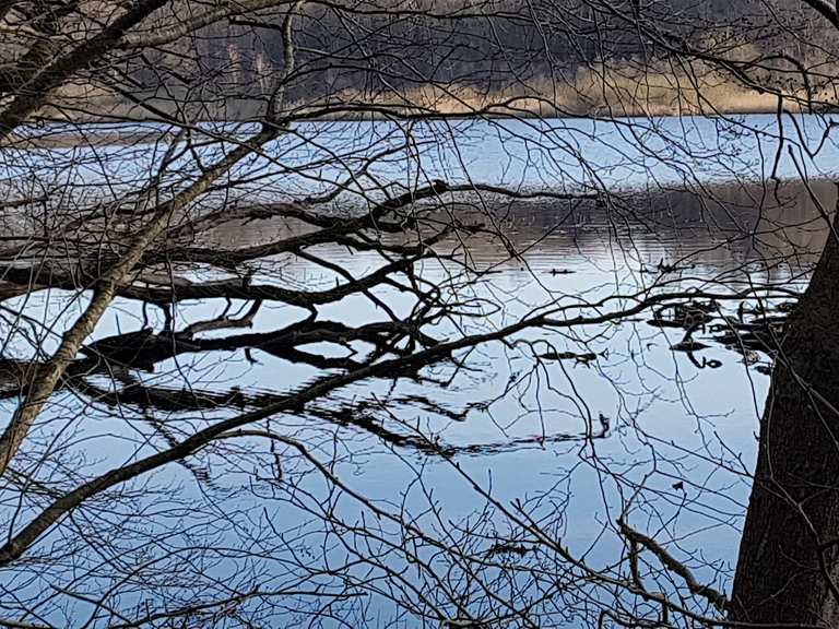 Roikier See Routes for Walking and Hiking | Komoot