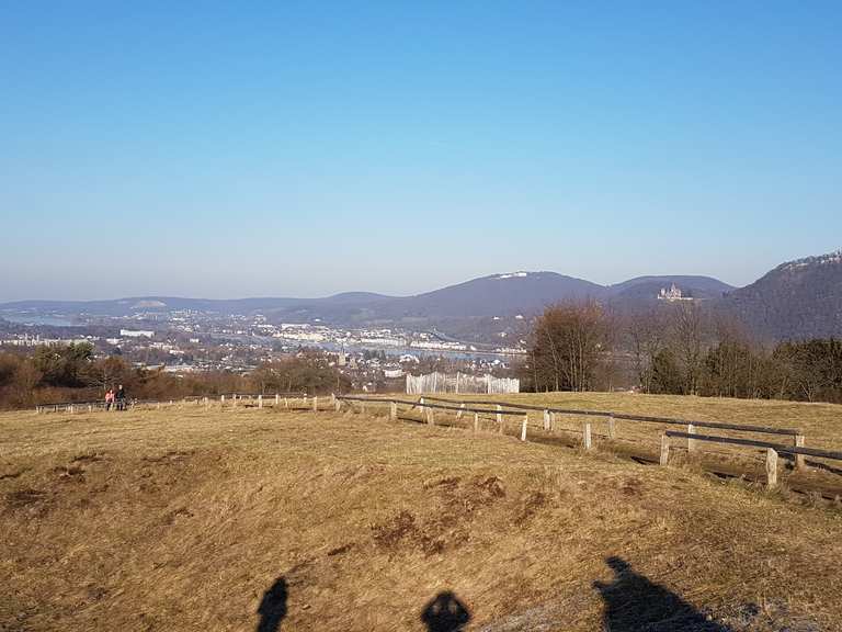 Naturschutzgebiet Rodderberg: Wanderungen und Rundwege | komoot