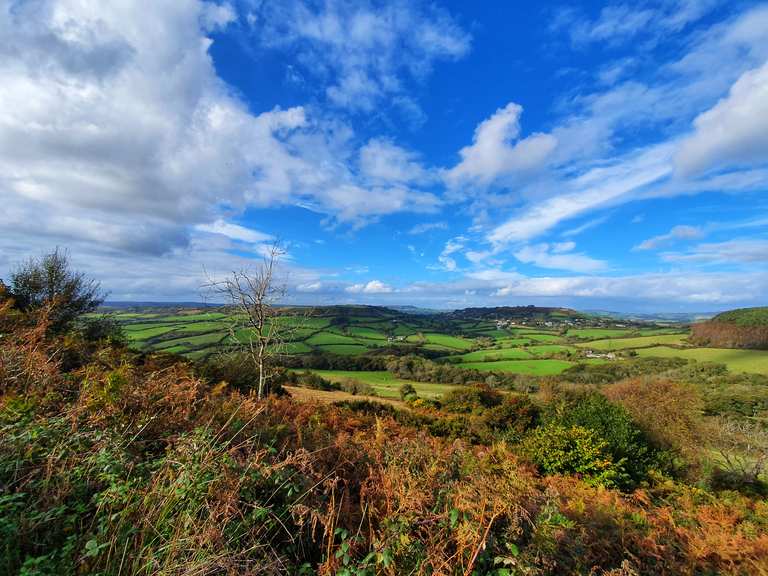 Golden Cap Routes for Walking and Hiking | Komoot