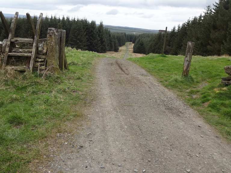 Kielder Forest Gravel Trail Cycle Routes and Map | Komoot