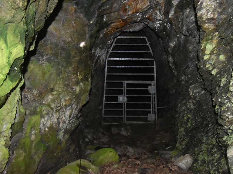 Bergstollen / Fledermaushöhle: Wanderungen und Rundwege | komoot