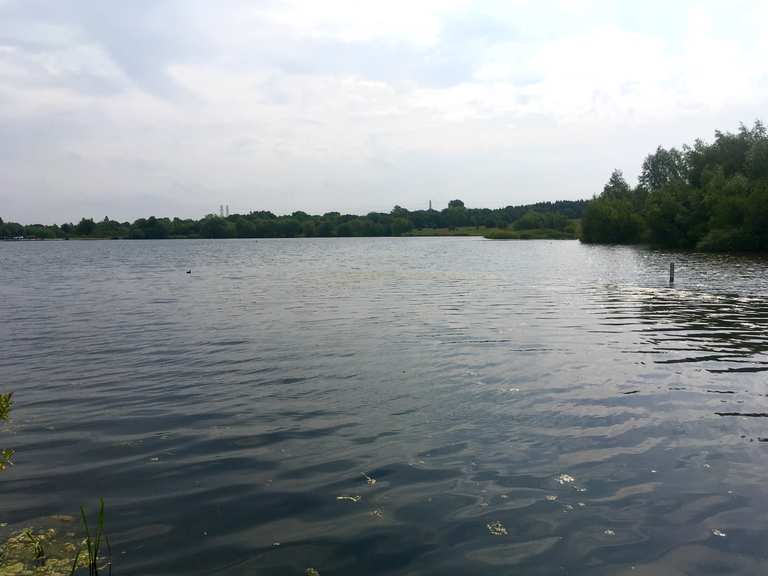 Swan Pool, Sandwell Valley Country Park - Cycle Routes and Map | Komoot