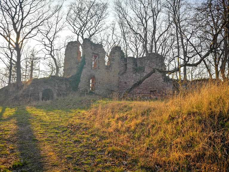 Ruine Altenstein: Wanderungen und Rundwege | komoot