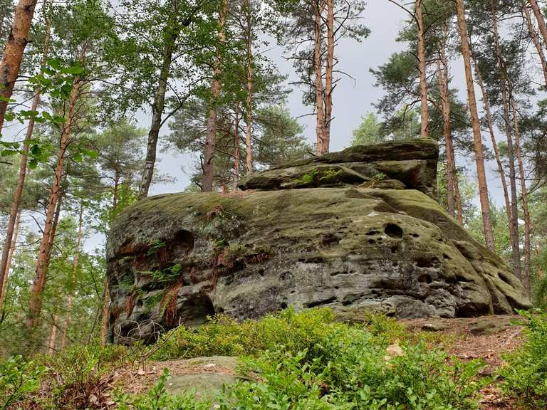 Trails am Kieferberg - Beispiel 2 Mountain Bike Trails & Tracks | Komoot