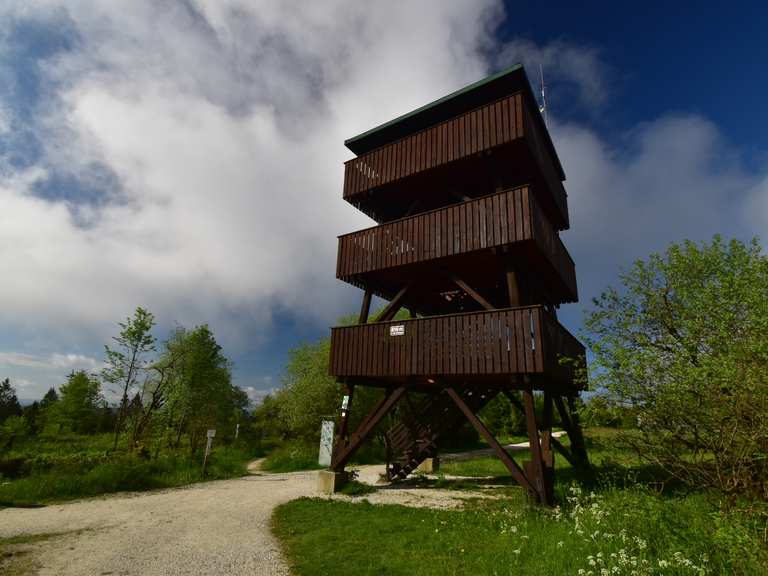 Erbeskopf (höchster Punkt von Rheinland-Pfalz): Wanderungen und ...