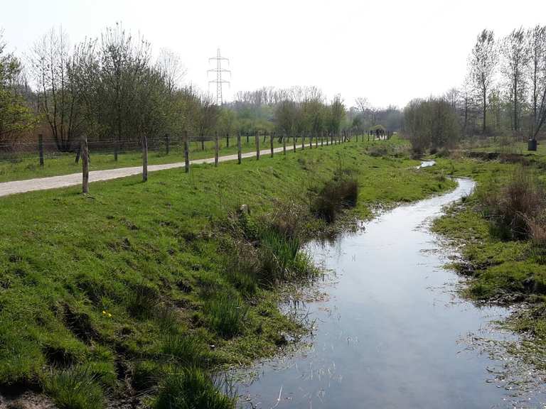 Natuurpark Roode Beek wandelroutes en hikes | Komoot