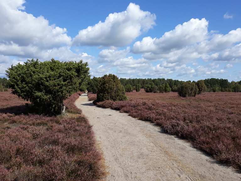 Heiliger Hain: Wanderungen und Rundwege | komoot