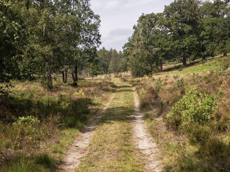 Breeser Grund - Routes for Walking and Hiking | Komoot