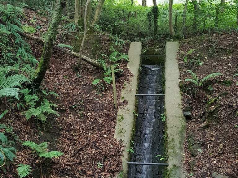 Taff Trail: Tongwynlais to Pontypridd section Mountain Bike Trails ...