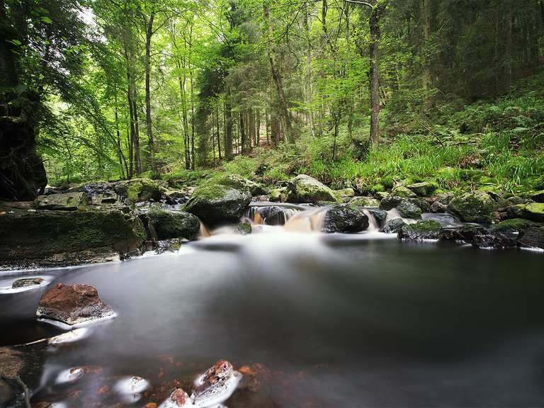 Vallée du Ninglinspo - Itinéraires de rando et marche | Komoot
