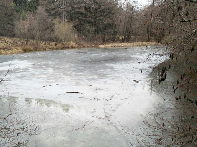 Hermannsee Routes for Walking and Hiking | Komoot