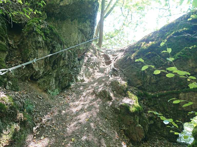 Westerwaldsteig Routes for Walking and Hiking | Komoot