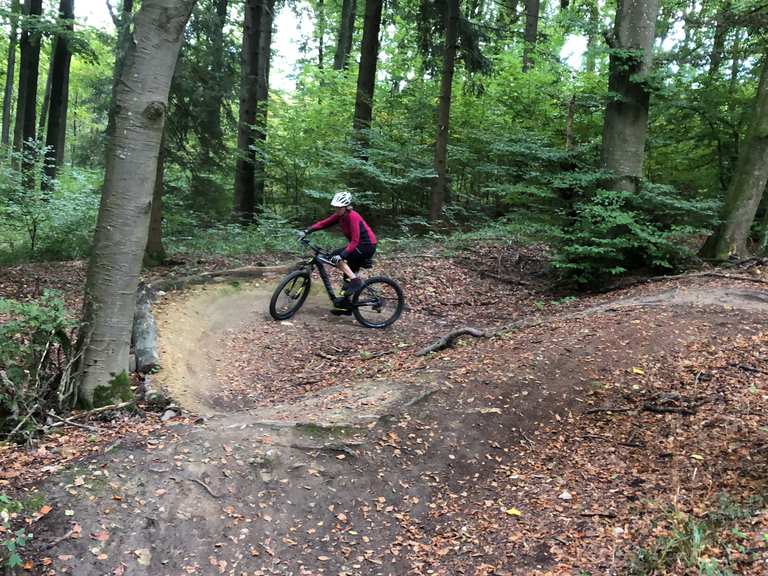 Thunderstruck-Trail Mountain Bike Trails & Tracks | Komoot