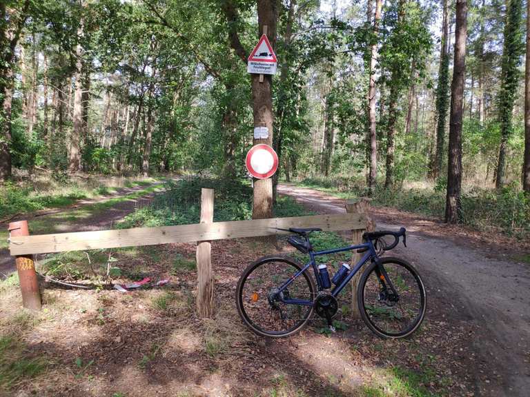 Forest path in Landkreis Emsland Mountain Bike Trails & Tracks | Komoot