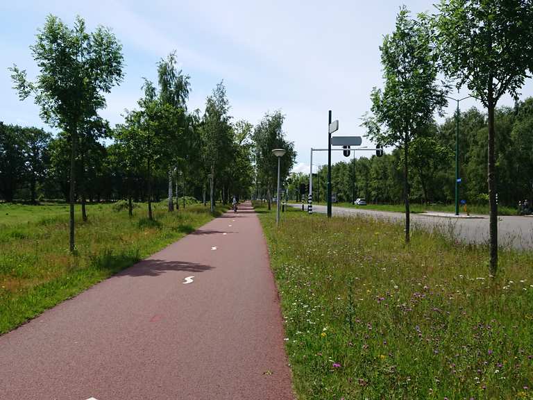 Fietspad door bos – Fietspad langs de Dommel Rondje vanuit Steensel ...