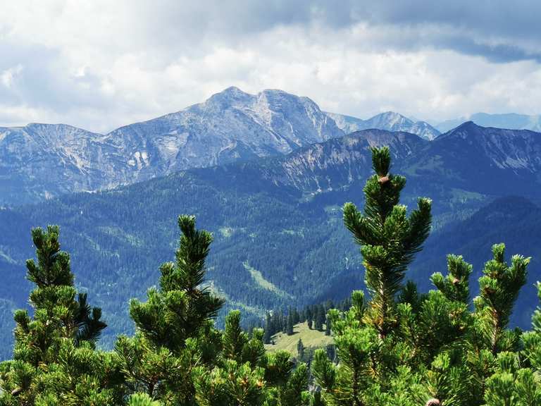 Österreichischer Schinder - Routes and Map | Komoot