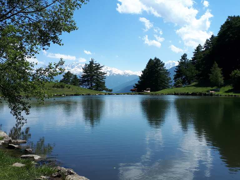 Bergsee / Burgeis Routes for Walking and Hiking | Komoot