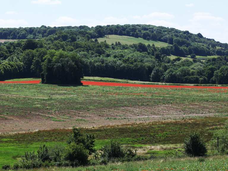Otford Routes for Walking and Hiking | Komoot