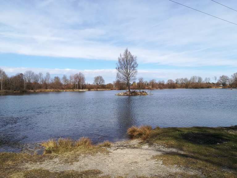 Insel im Großen Böhmerweiher – Aubinger Lohe Runde von Lochhausen ...