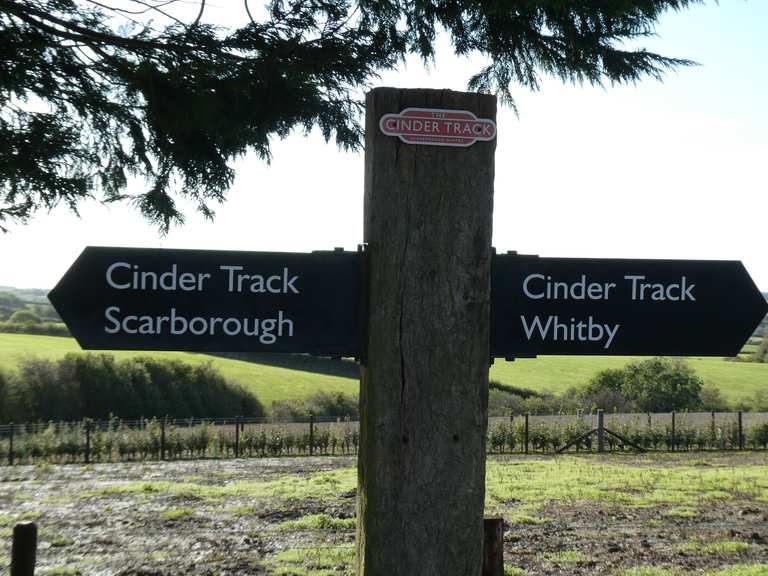 The Cinder Track trailhead - Mountain Bike Trails & Tracks | Komoot