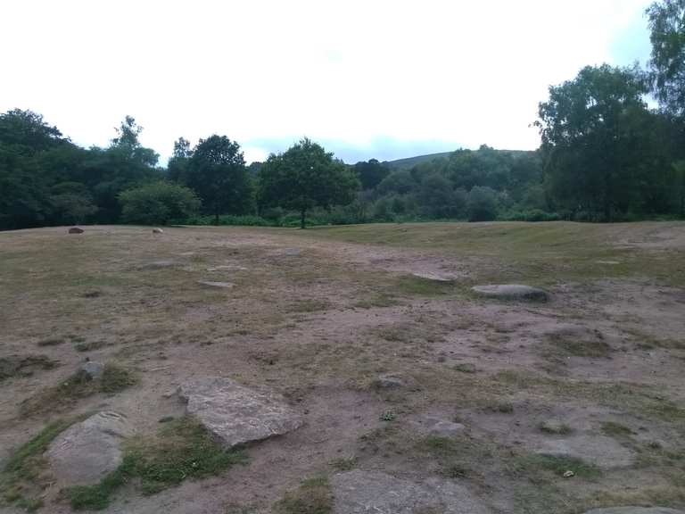 Spitchwick Common: Wanderungen und Rundwege | komoot