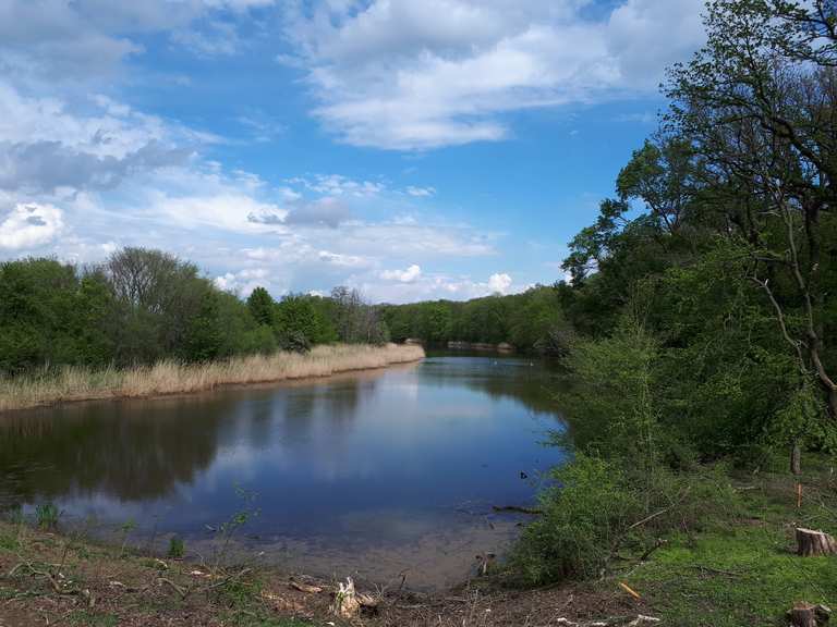 Dornburger Alte Elbe a Kreuzhorst : percorsi escursionistici e trekking ...