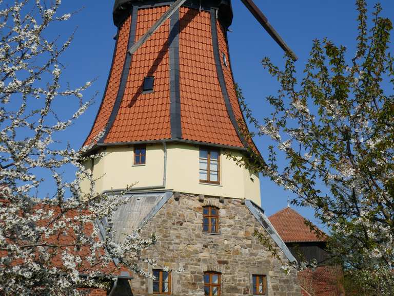 Windmühle Lathwehren-Dunau : Radtouren und Radwege | komoot