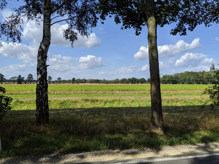 Super Radweg durch den Wald – Schnelle Strecke Runde von Hannover Karl ...
