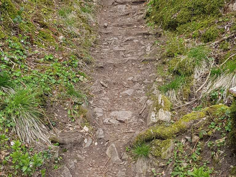 Dovedale Wood: Wanderungen und Rundwege | komoot