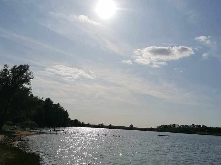 Strandhaus Grashof am Rothsee: Wanderungen und Rundwege | komoot