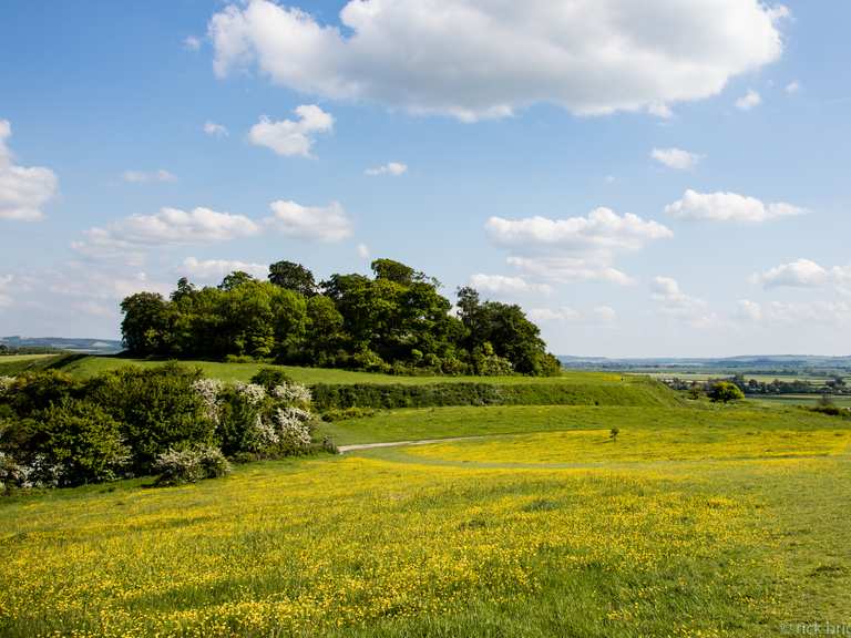Wittenham Clumps via Thames Path loop — North Wessex Downs AONB | hike ...