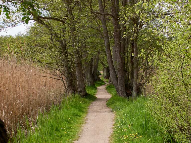 Aalbeek Niederung Routes for Walking and Hiking | Komoot