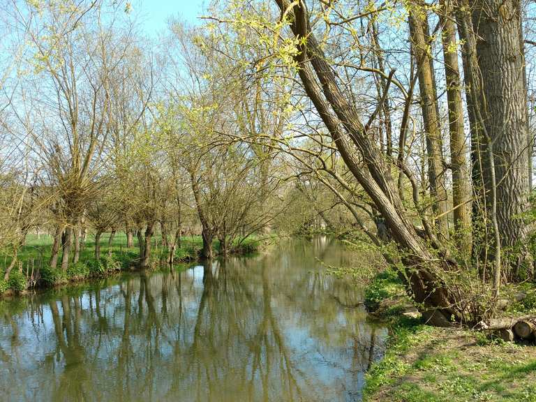 Radweg „Liebliches Taubertal – Der Klassiker“ bei Lindhelle Cycle ...
