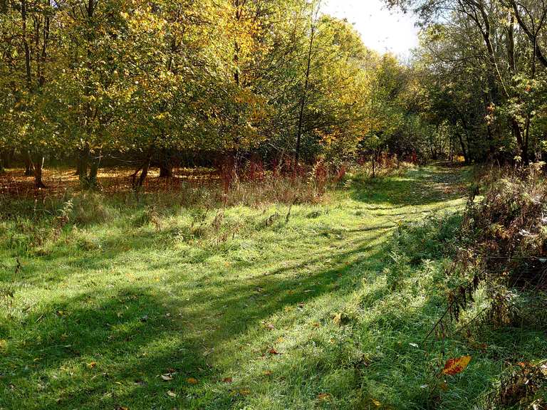 Shotover Country Park - Cycle Routes and Map | Komoot