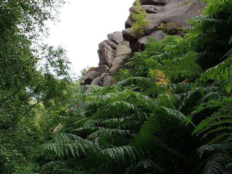 Black Rocks Routes for Walking and Hiking | Komoot