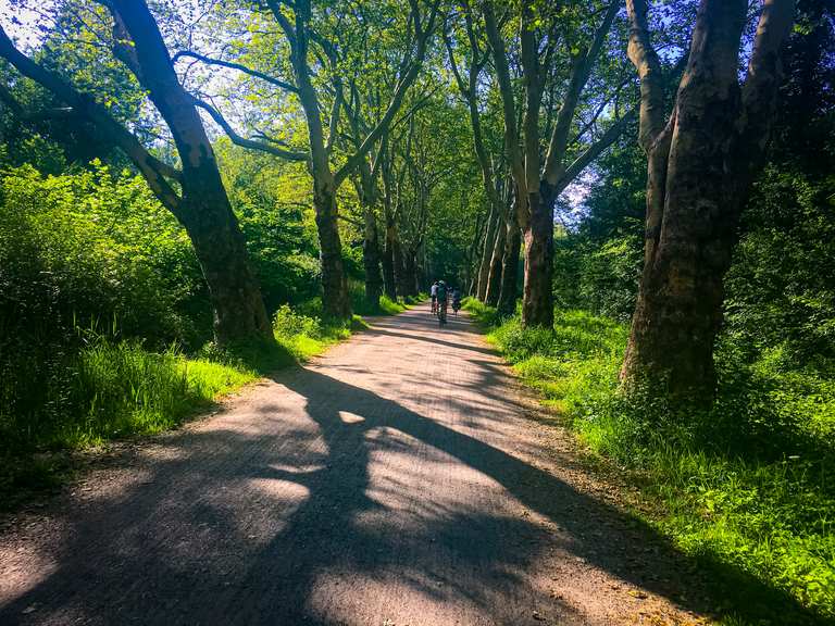 Count Lennart Bernadotte Avenue - Cycle Routes and Map | Komoot