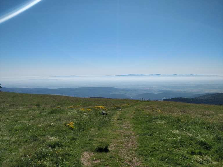 Le Petit Ballon — loop from the col de Boenlesgrab in the parc naturel ...