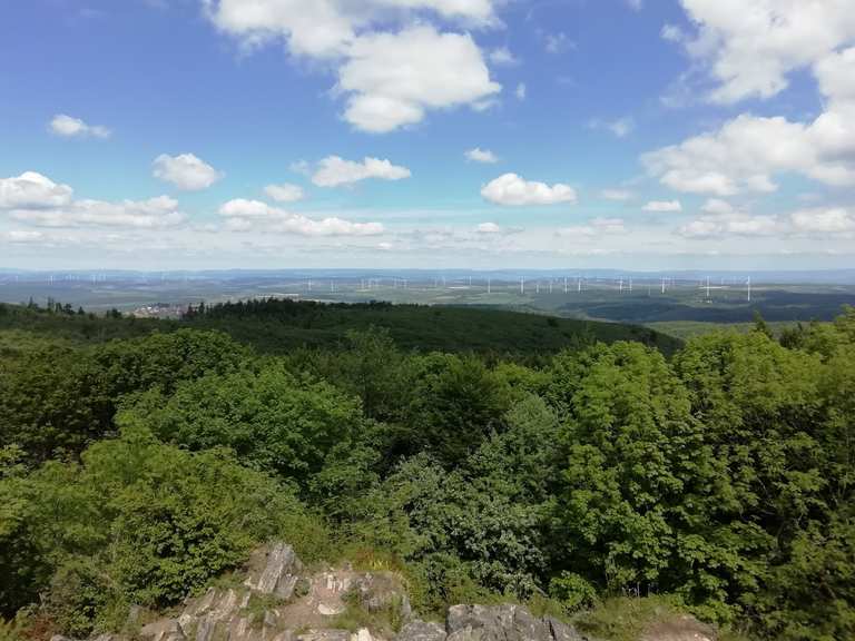 Donnersberg Königsstuhl - Sentiers et pistes de VTT | Komoot