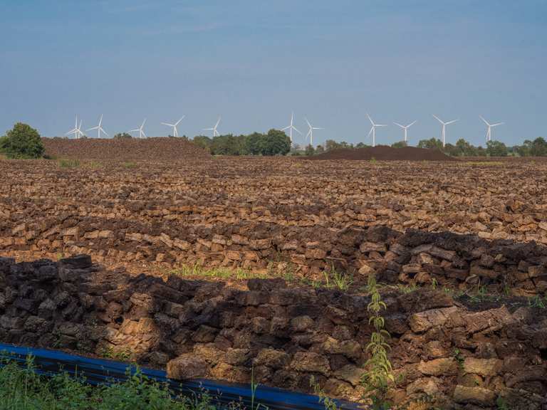 Torfabbau Campemoor: Radtouren und Radwege | komoot