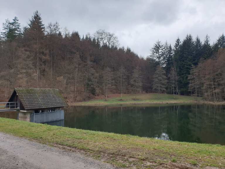Michelsee bei Aglasterhausen-Michelbach : Radtouren und Radwege | komoot
