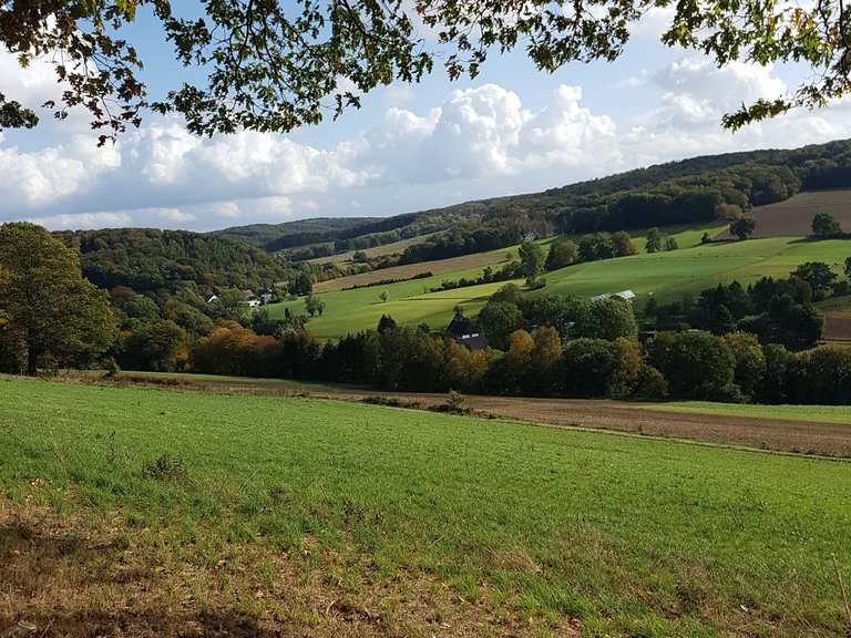 Hansberg: Schöner Ausblick: Wanderungen und Rundwege | komoot