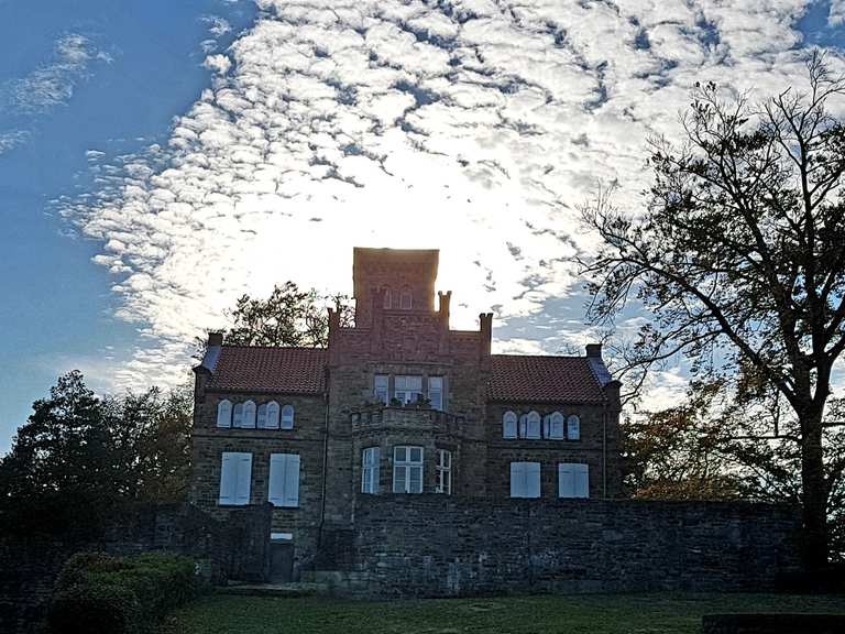 Burg Isenberg: Mountainbike-Touren und -Trails | komoot
