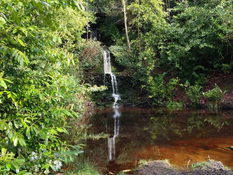 Tillingbourne Waterfall (periodically) Routes for Walking and Hiking ...