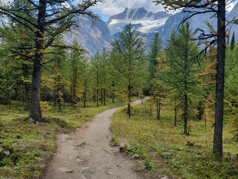 Valle dei Larici : percorsi escursionistici e trekking | Komoot
